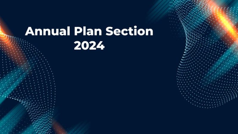 Strategic Plan 2024 to 2025 - Waiuku Primary School